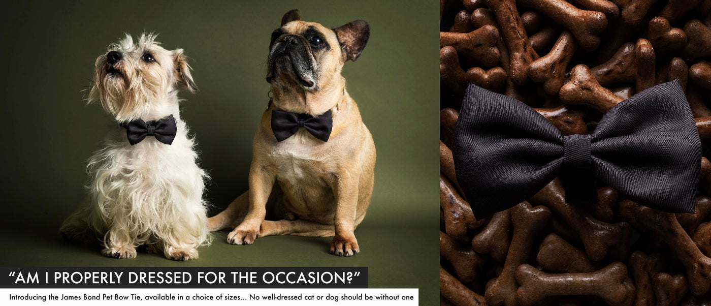 James Bond Merchandise | Official James Bond 007 Store